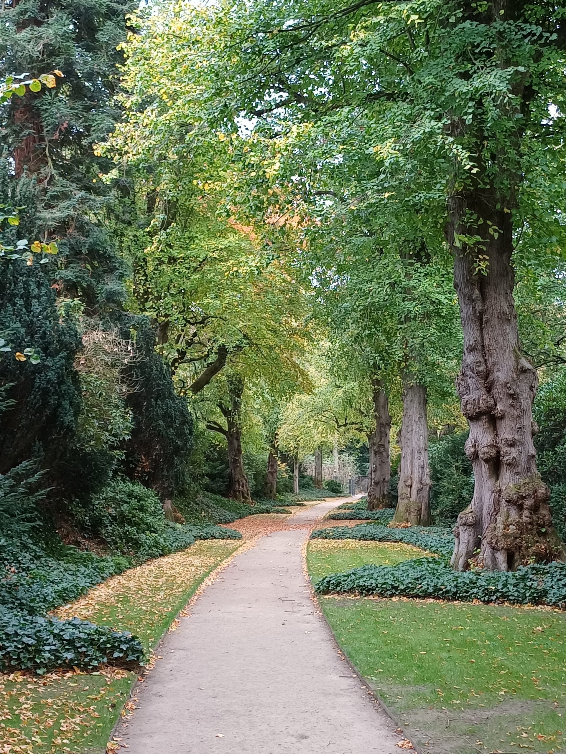 Funeral Notice of RAGGETT Liam Patrick | Andrew Smith Funeral Services